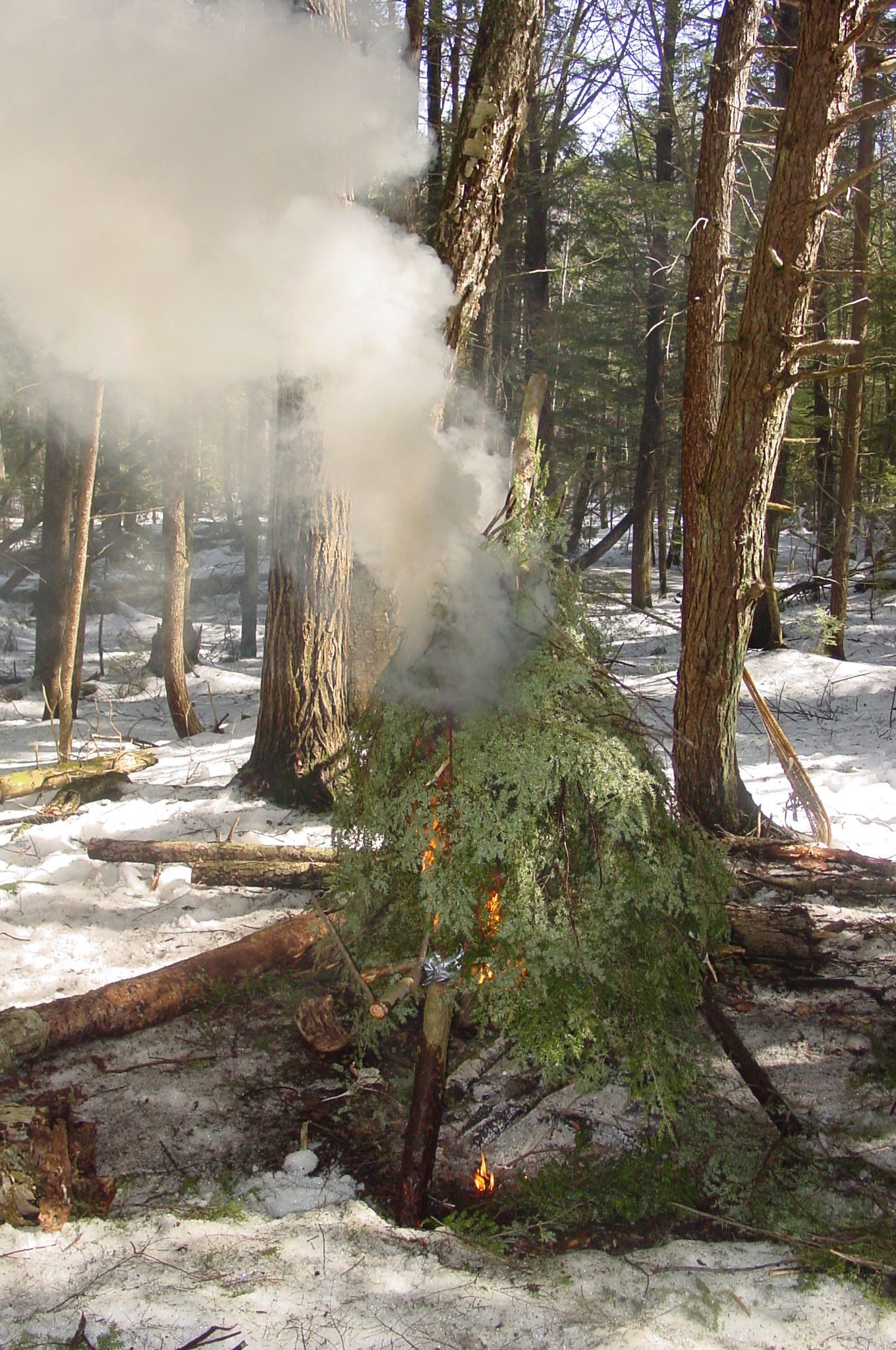 Save A Life Inc. – Wilderness First Aid, First Aid, CPR/AED training at ...